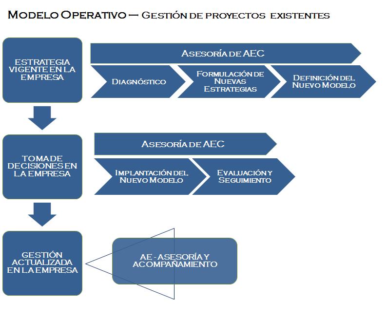 MODELO OPERATIVO :: AECConsultoresColombia